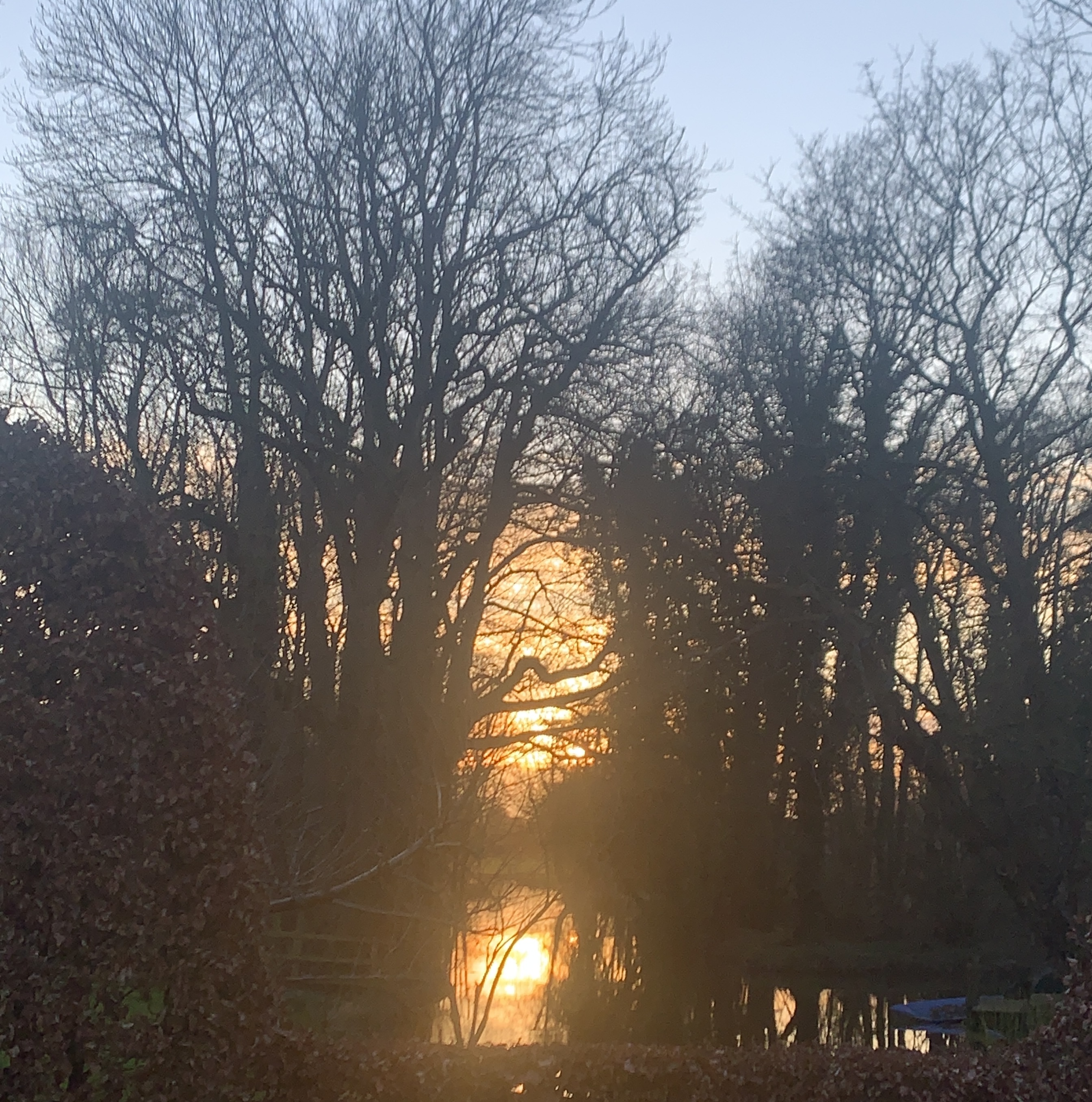 Syleham – Information about the parish council and what's on in Syleham.